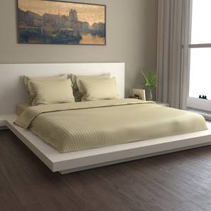 Walnut 400 TC Cotton Size Bedsheet - Urban Ladder
