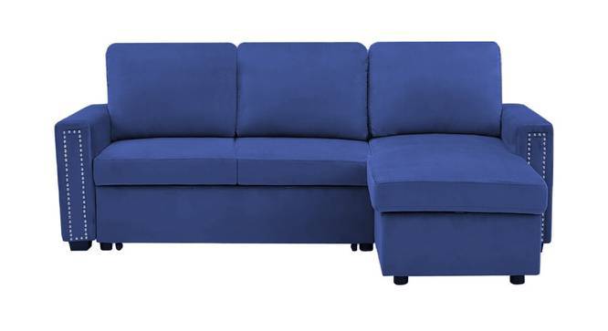 Solace Solid Wood Sofa cum Bed in Navy Blue Urban Ladder